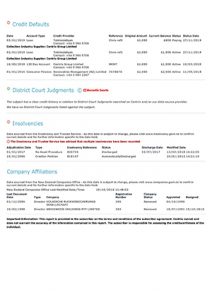 Sample Credit Report | Sample Credit Report PDF | Centrix