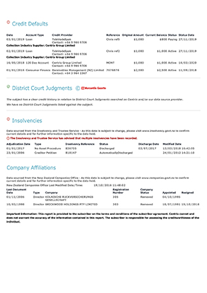 Sample Credit Report | Sample Credit Report PDF | Centrix